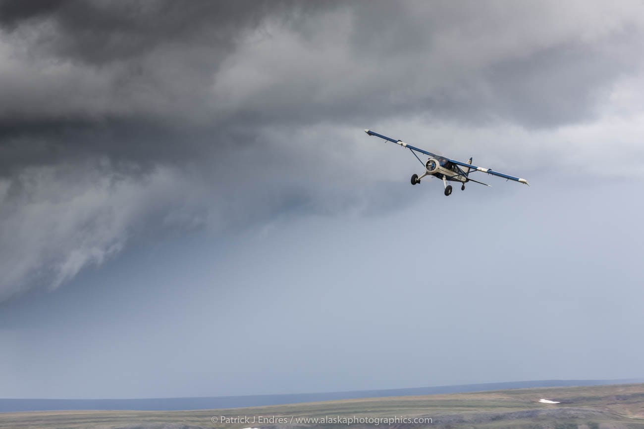 Our Crew - Coyote Air Service